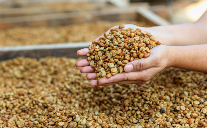 What is a honey process coffee?